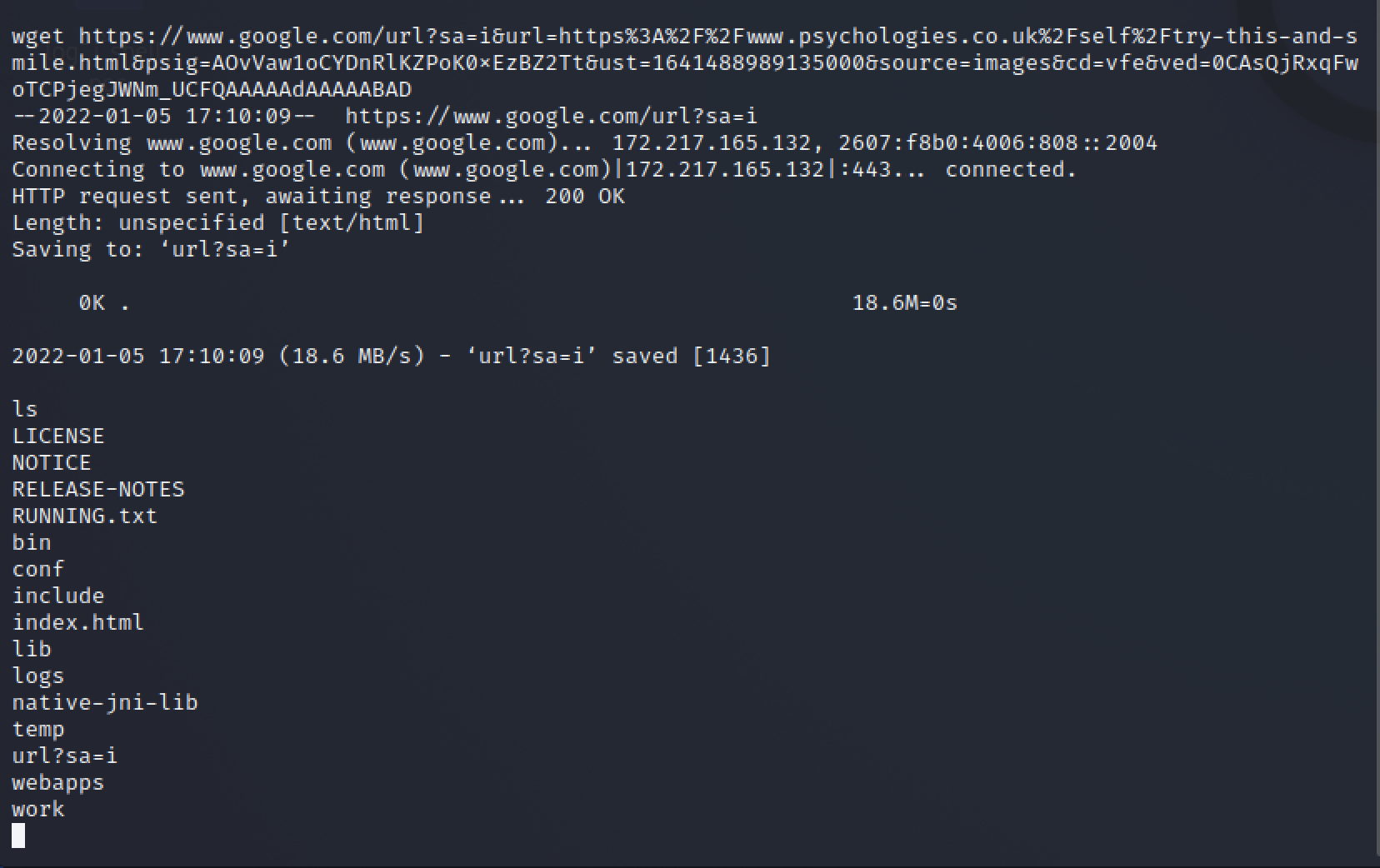 Log4Shell - What is it, How does it Work & How to Detect it | JT_Dunnski